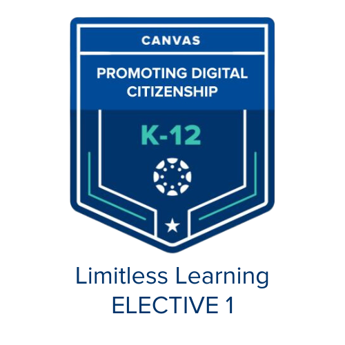 Canvas Certified Educator